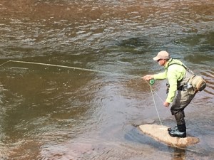 Oh, I see…… | duaneredford.com